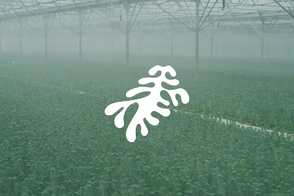 AR Ecologies: planting trees - Architectural Review