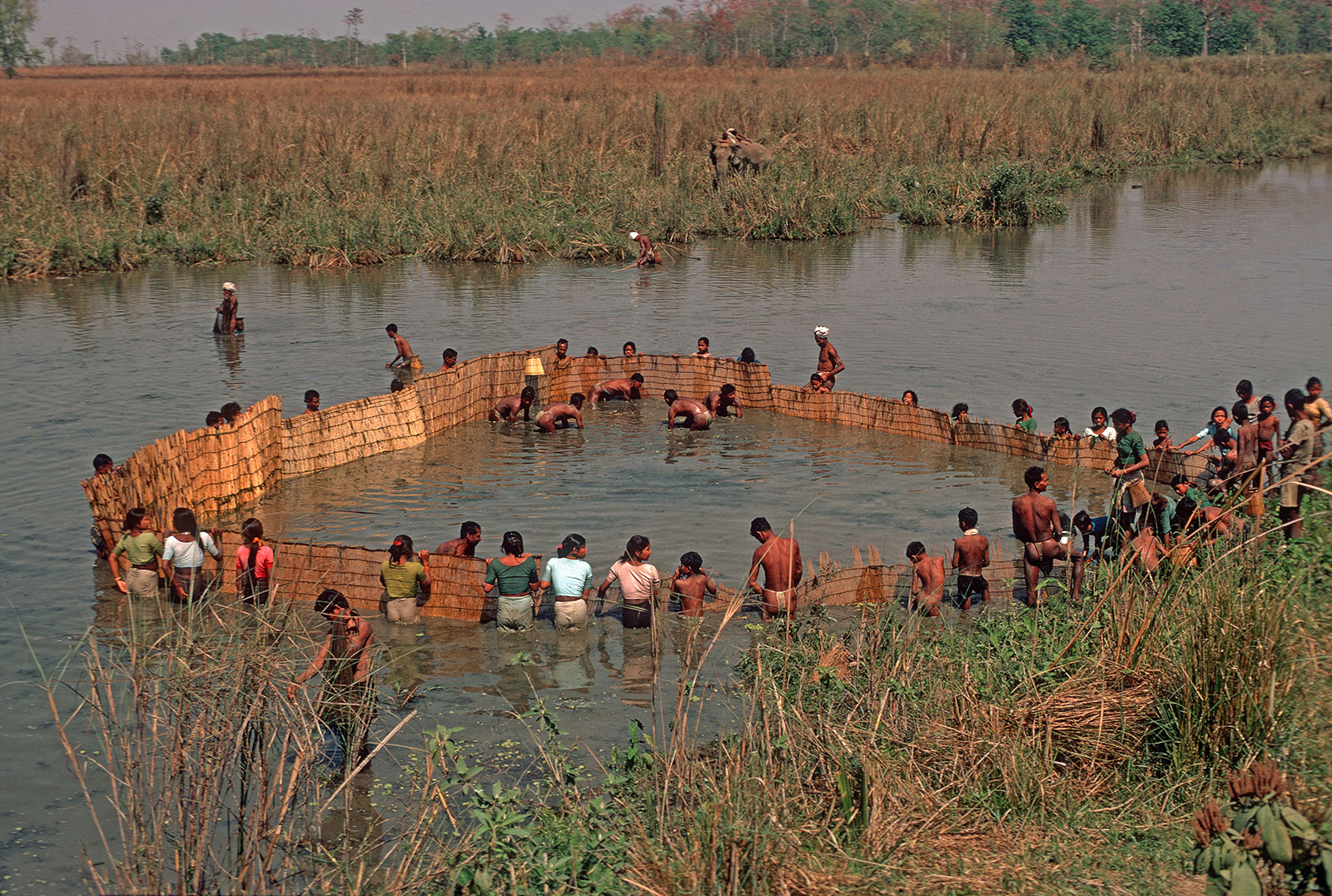 Building with bamboo: trans-Himalayan practices - Architectural Review