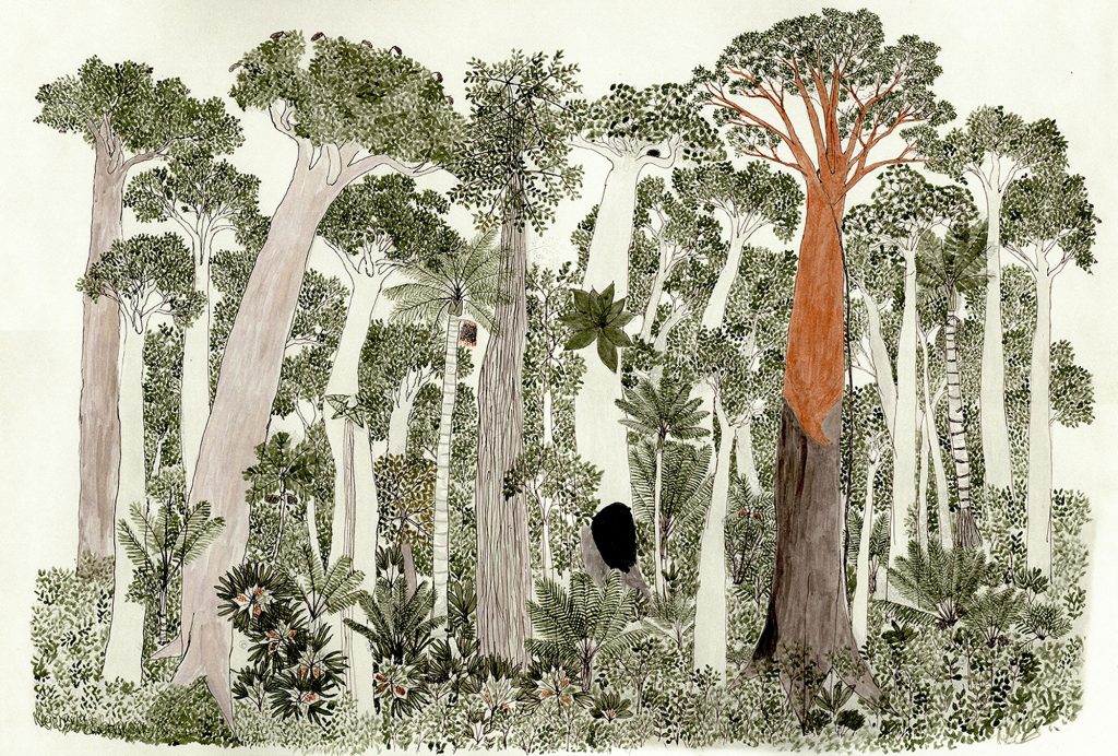 Indigenous tree knowledges in Amazonia - Architectural Review