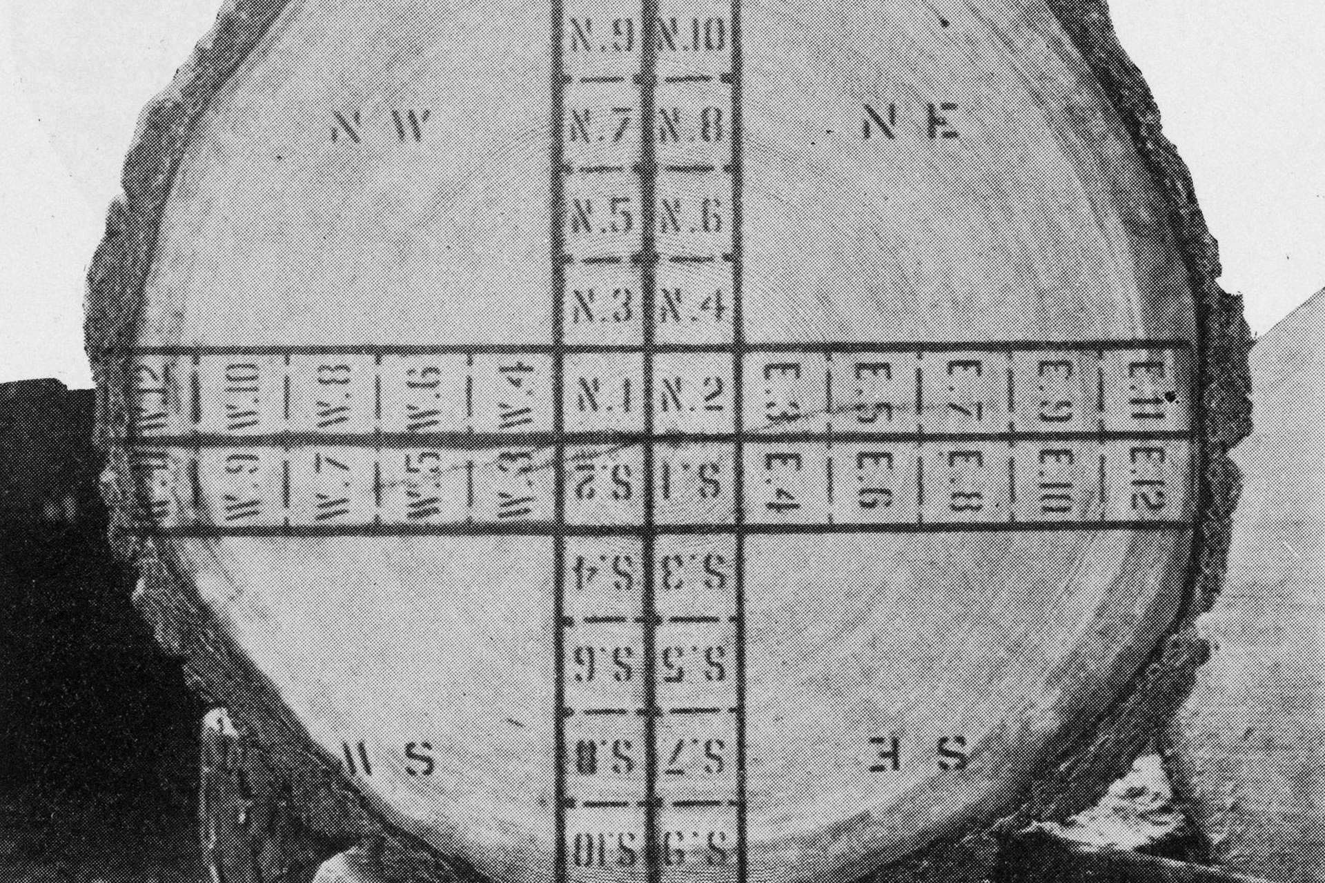 folio-standard-sawing-diagram-architectural-review