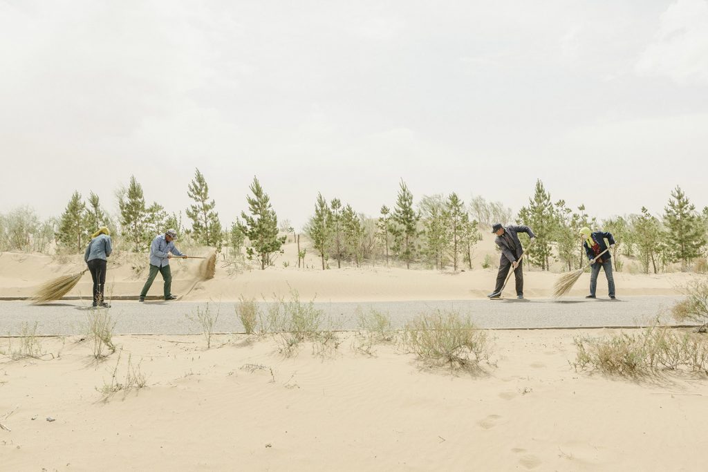 Plantationocene: when trees are worth more dead than alive ...