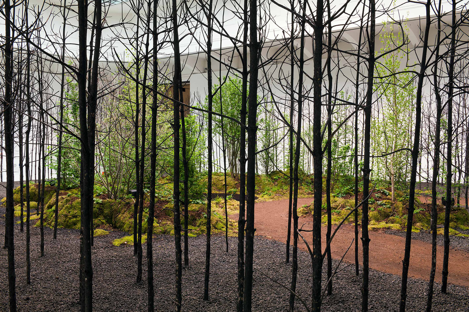 Cultivating the arts: the tree out of context - Architectural Review