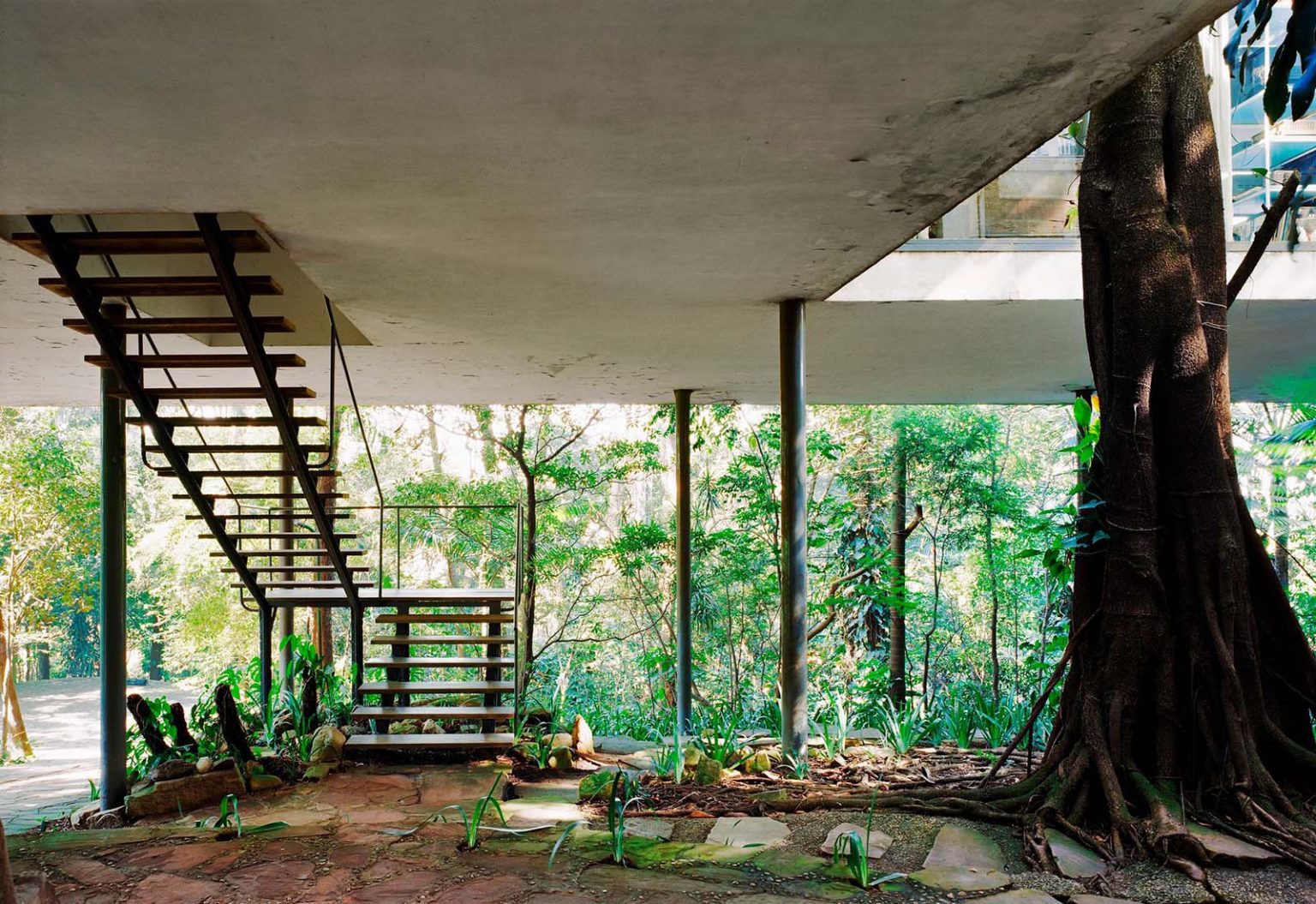 Round the tree houses: buildings that circle trees - Architectural Review