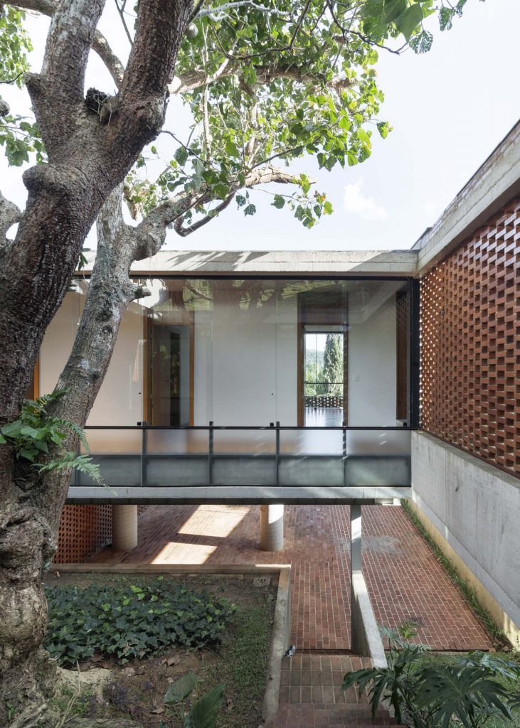 Round the tree houses: buildings that circle trees - Architectural Review