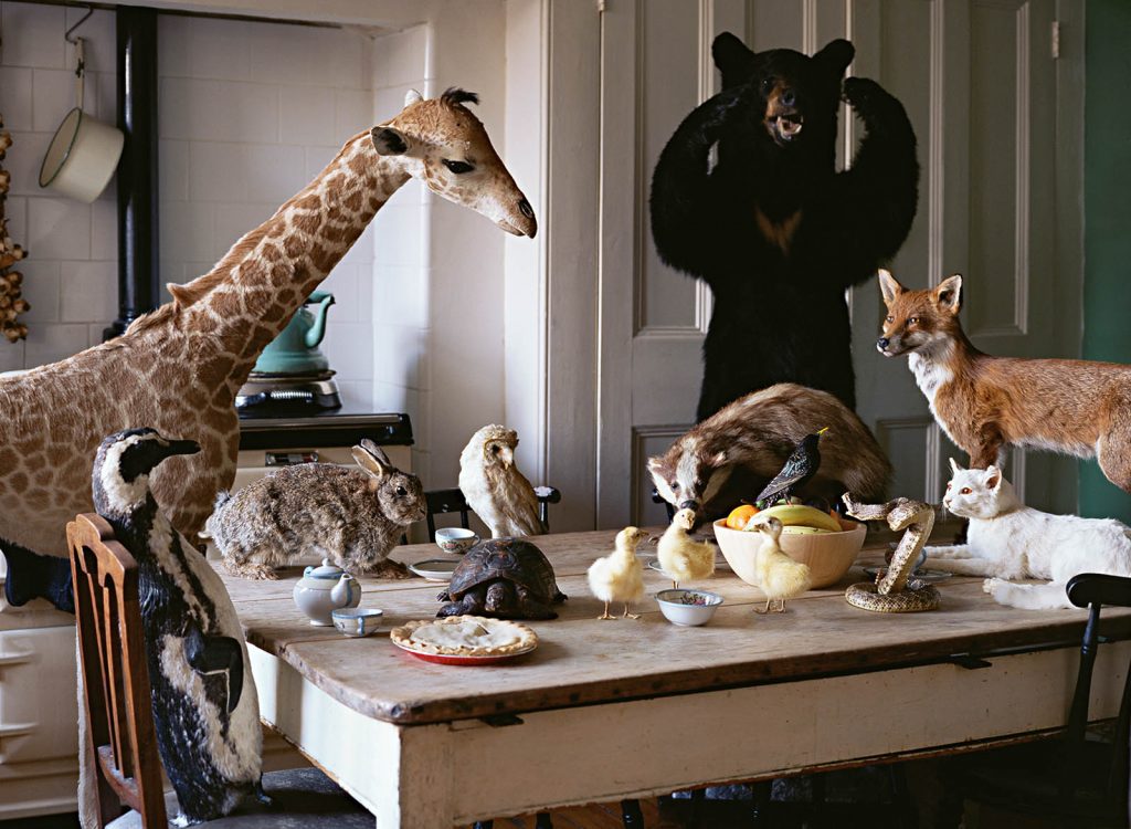The secret life of taxidermy - The Architectural Review
