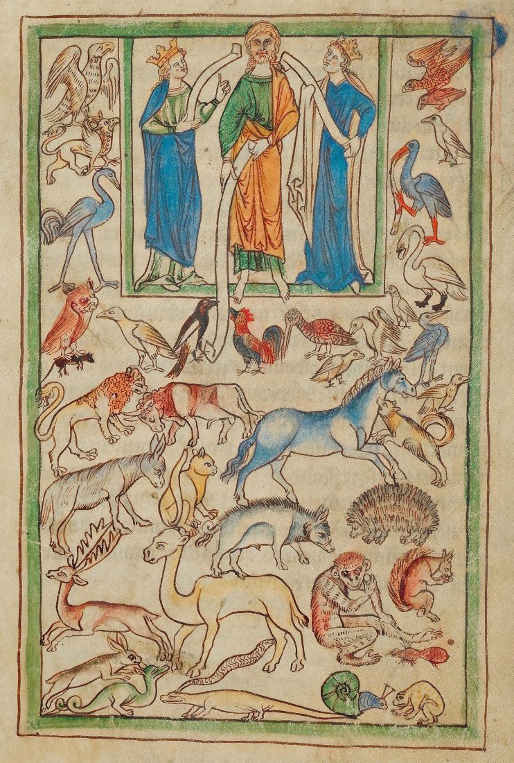 Outrage: humans are animals too - Architectural Review