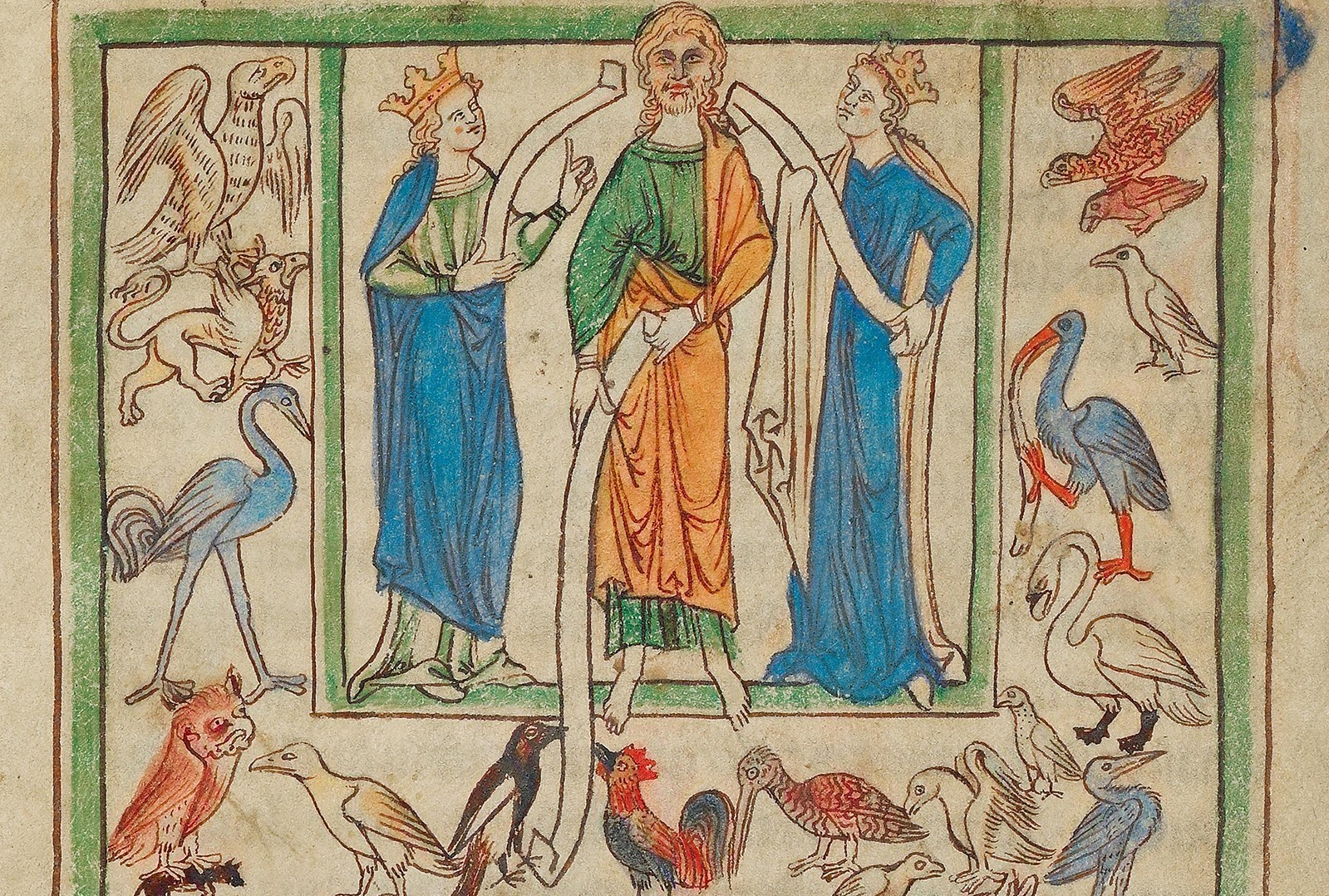 Outrage: humans are animals too - Architectural Review