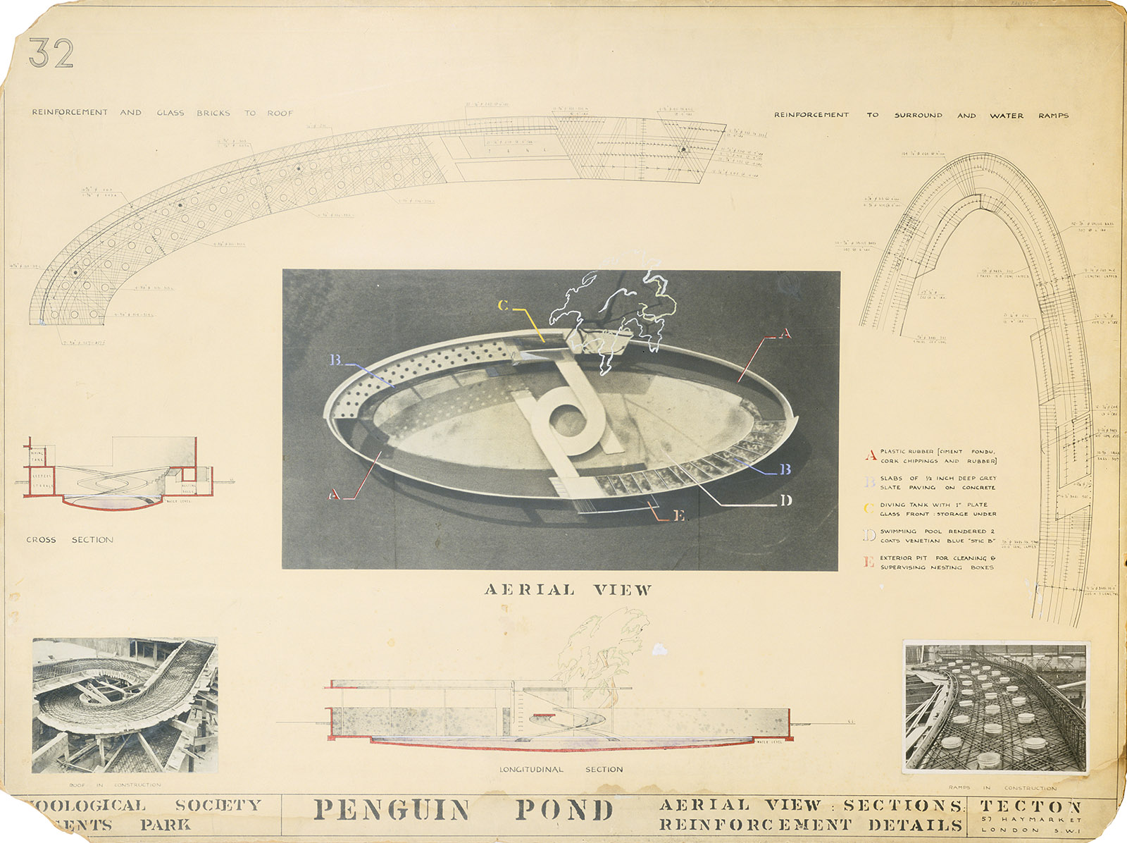 Revisit: Penguin Pool in London, UK by Tecton - Architectural Review