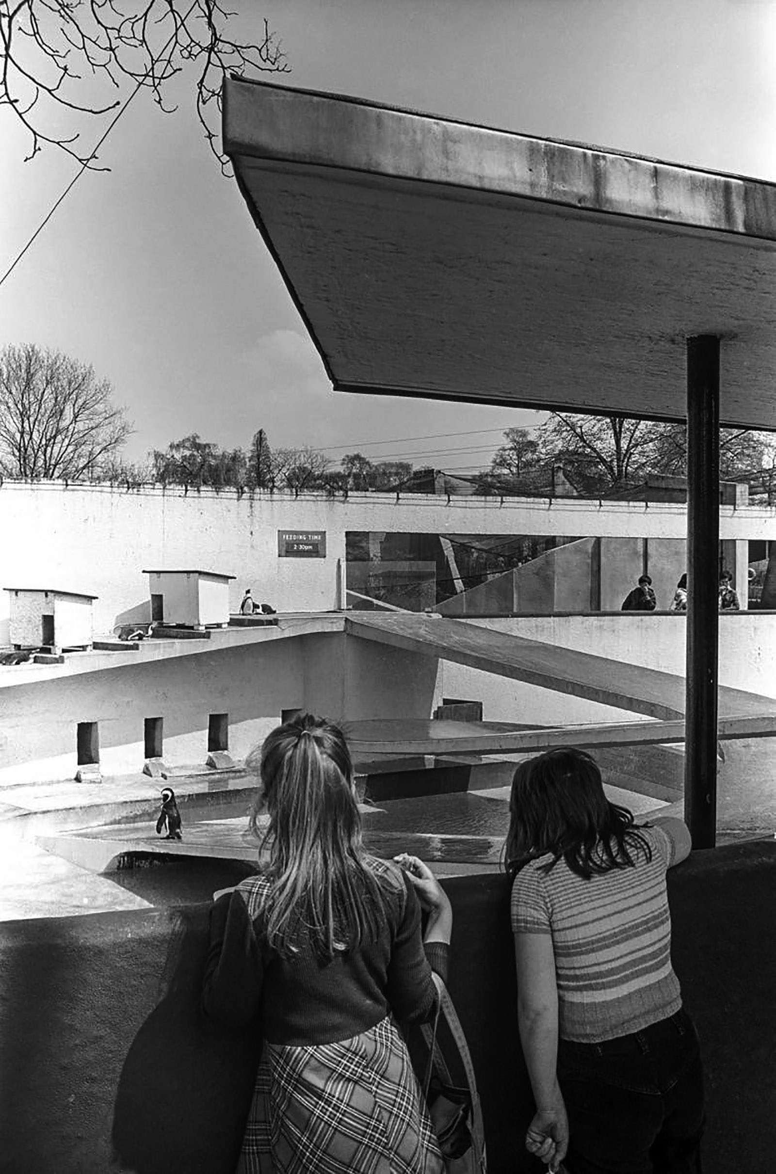 Revisit: Penguin Pool in London, UK by Tecton - Architectural Review