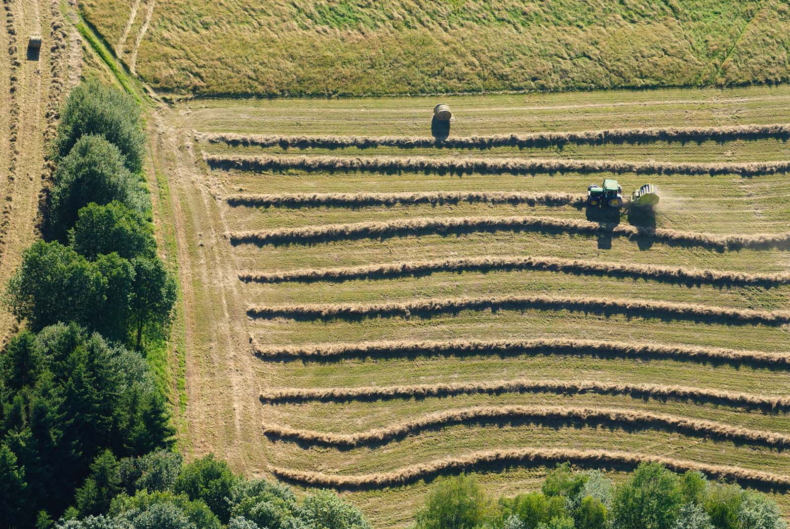 The short straw: bio-based construction - Architectural Review