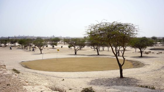 Oil in one: sand greens and grass greens in Bahrain - Architectural Review
