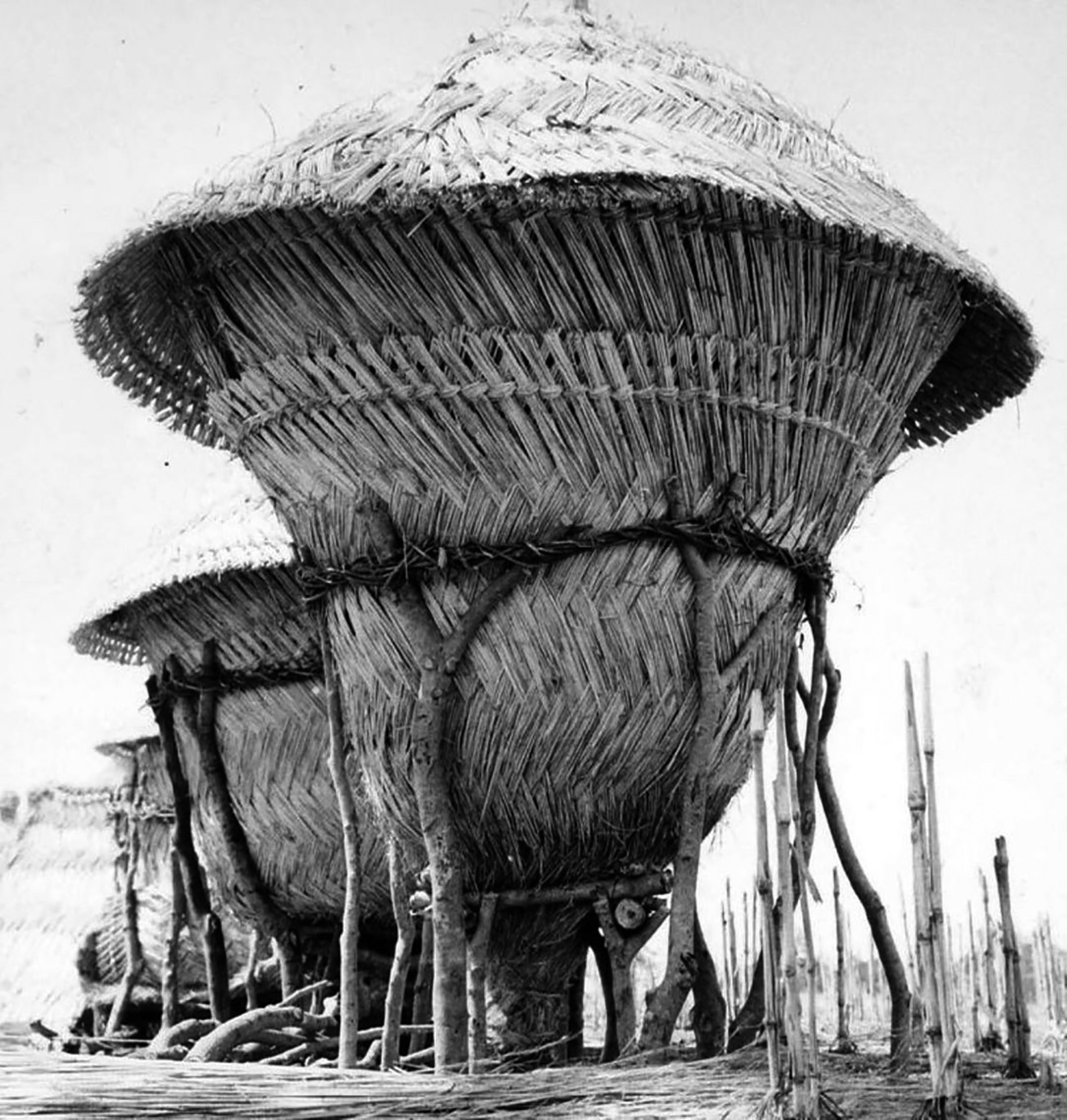 Form follows fuel: energy-hungry architecture - Architectural Review