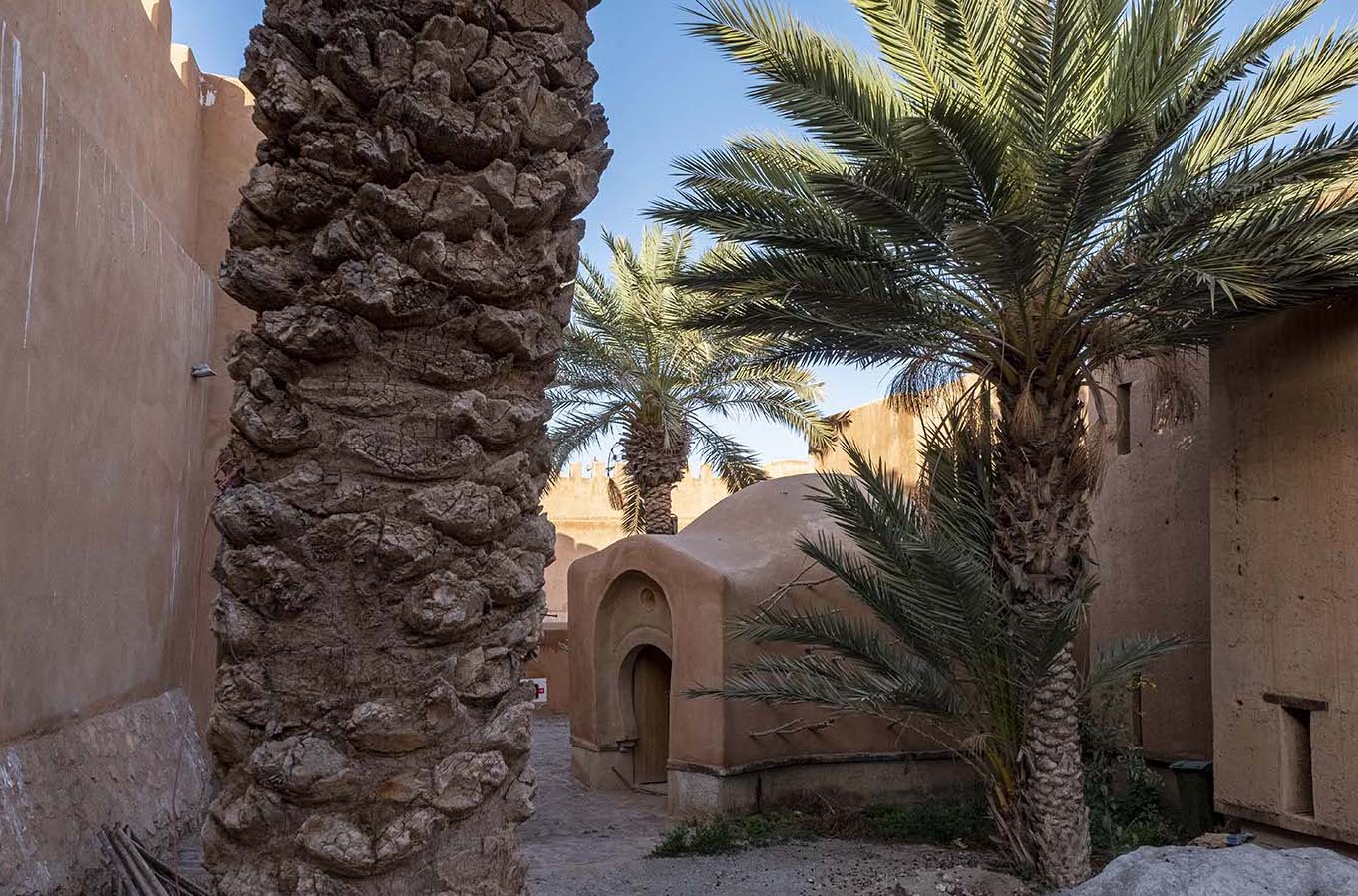 Retrospective: Salima Naji - Architectural Review