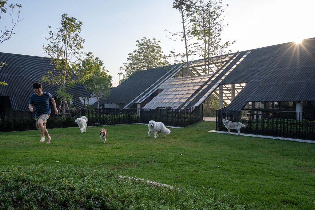 Dog/Human House in Nakhon Pathom, Thailand by Ekar Architects ...