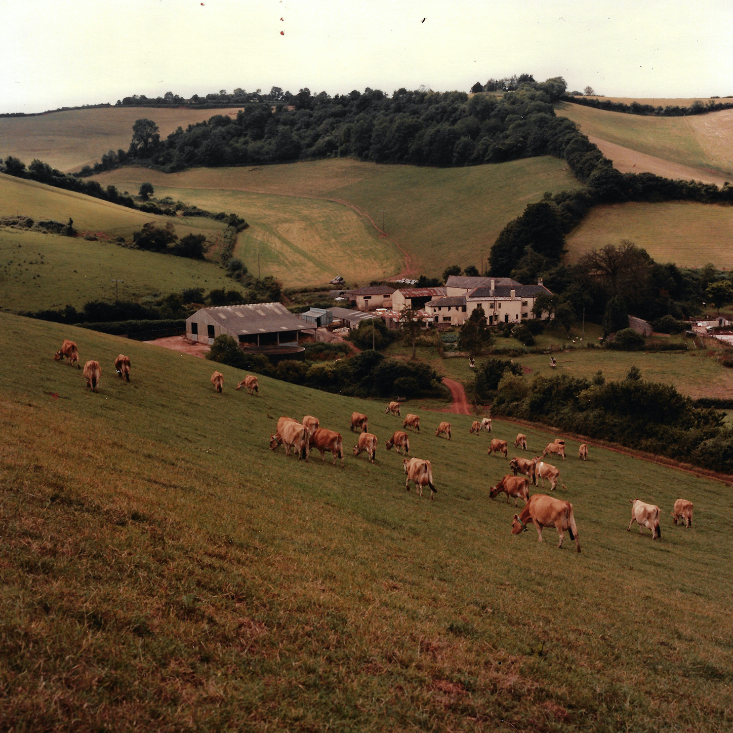 Cowshed in Devon, United Kingdom by David Kohn Architects - The ...