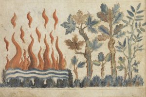 Dogma: Field of Walls - Architectural Review