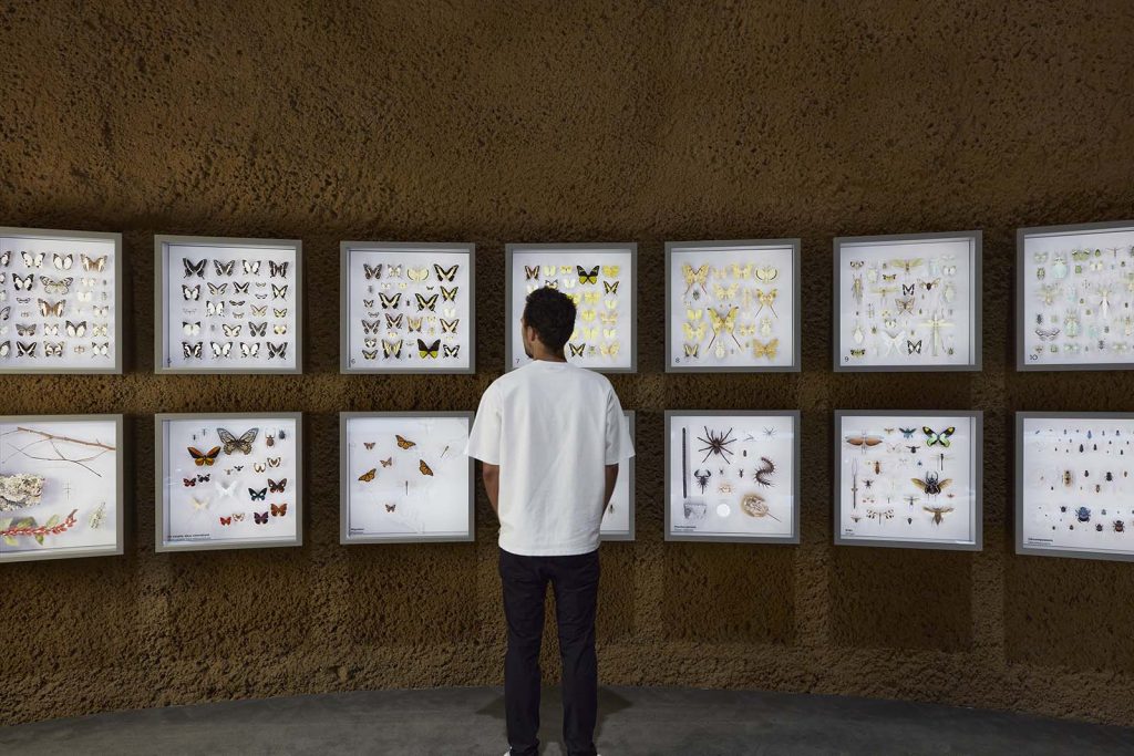 A bug’s life: Insectarium in Montreal, Canada by Kuehn Malvezzi, Pelletier de Fontenay and ...