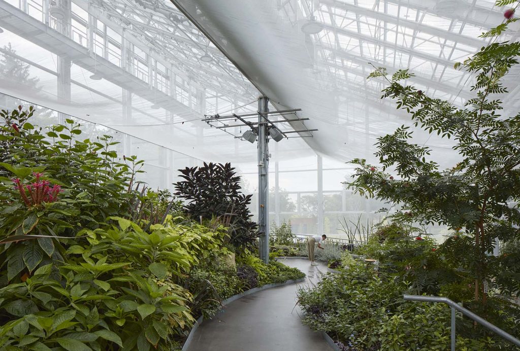 A bug’s life: Insectarium in Montreal, Canada by Kuehn Malvezzi ...