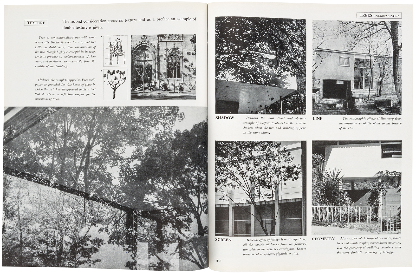 Trees incorporated - Architectural Review