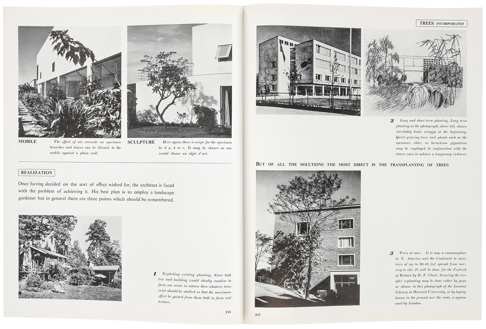 Trees incorporated - Architectural Review