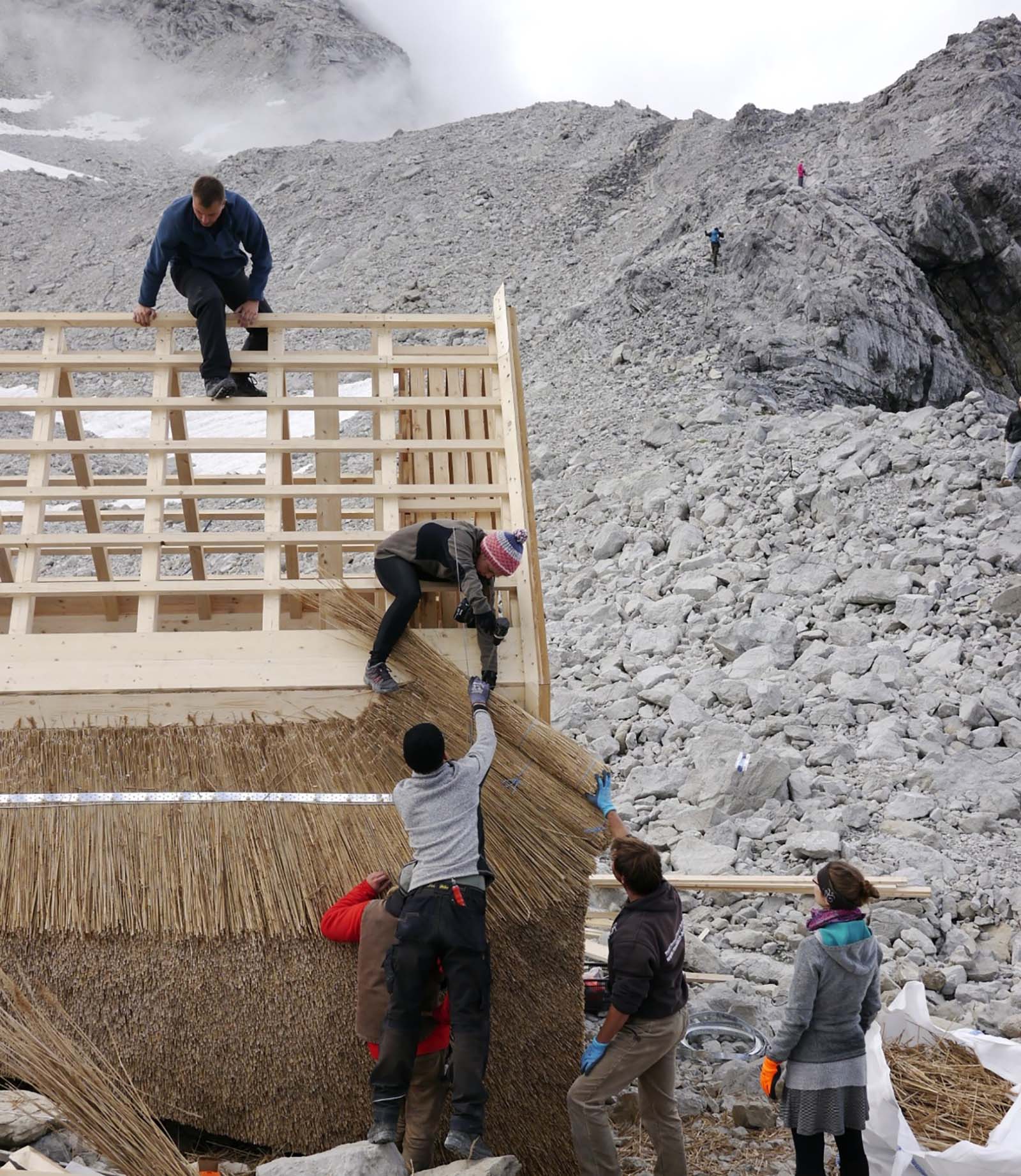 Planting a seed: bio-based building - Architectural Review