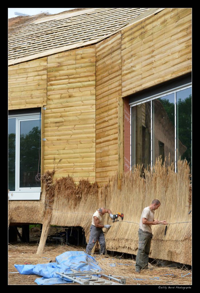 Thatch is back: a traditional material could inform new sustainable ...