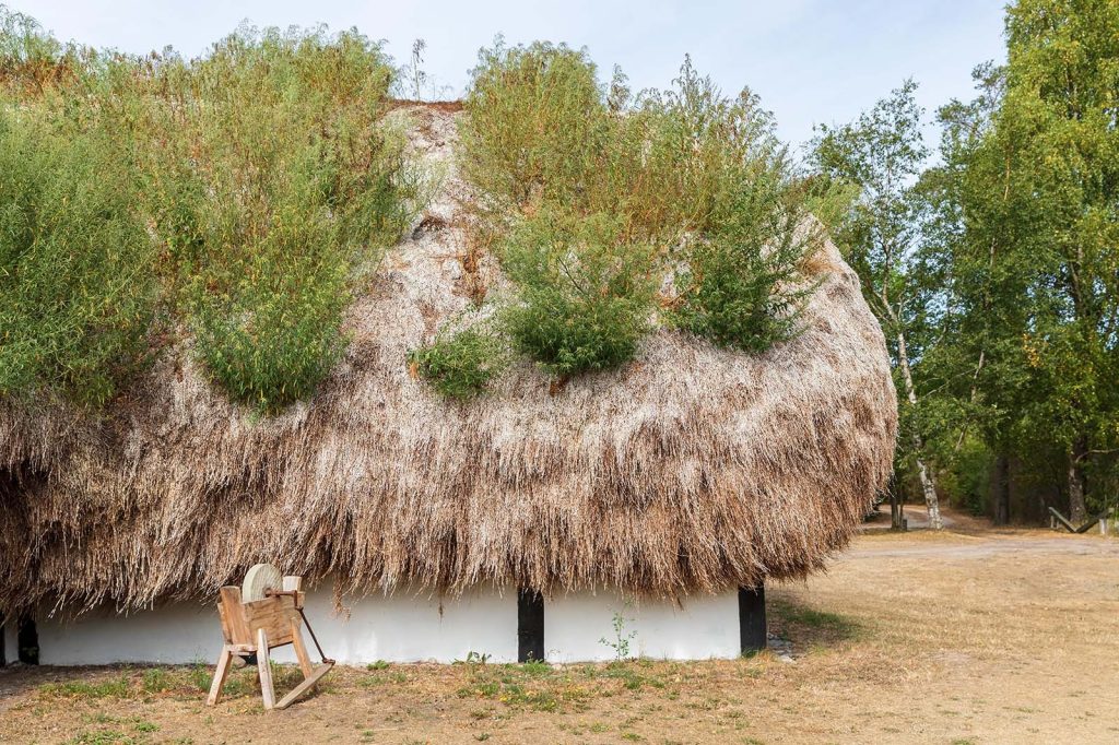 Thatch is back: a traditional material could inform new sustainable ...