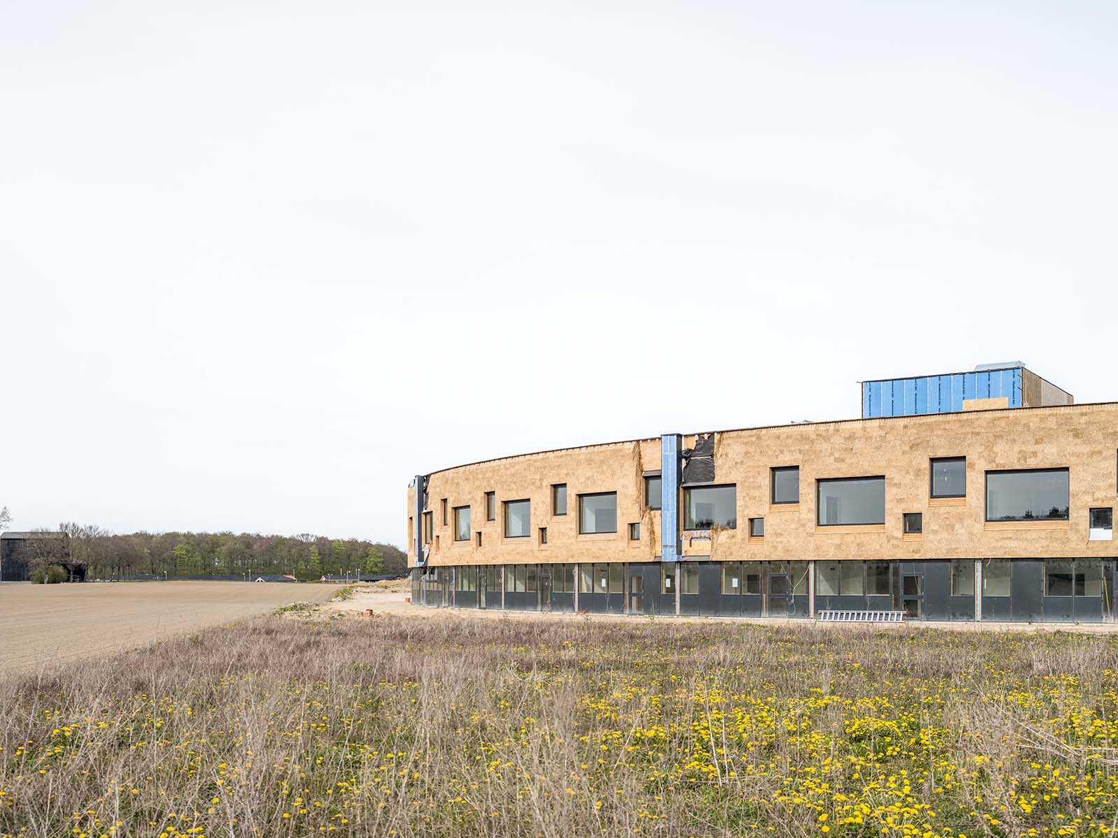 Thatch is back: a traditional material could inform new sustainable ...