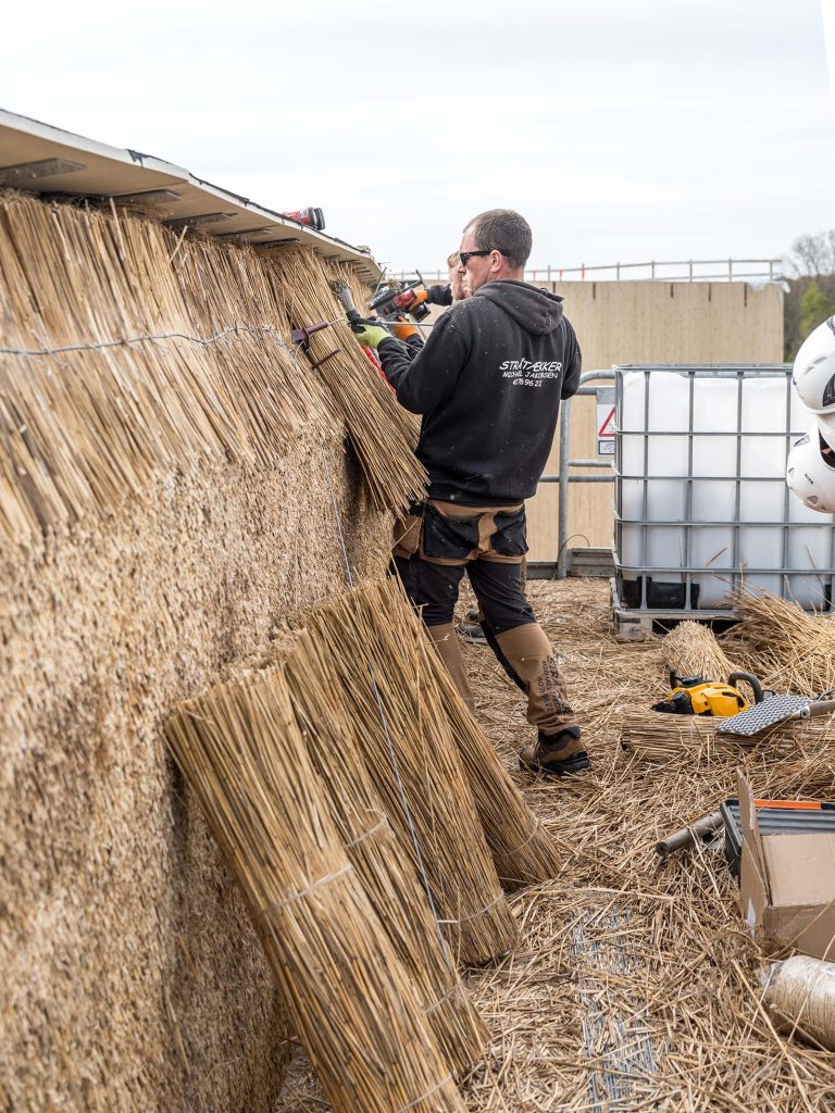 Sundby School in Nykøbing Falster, Denmark by Henning Larsen ...