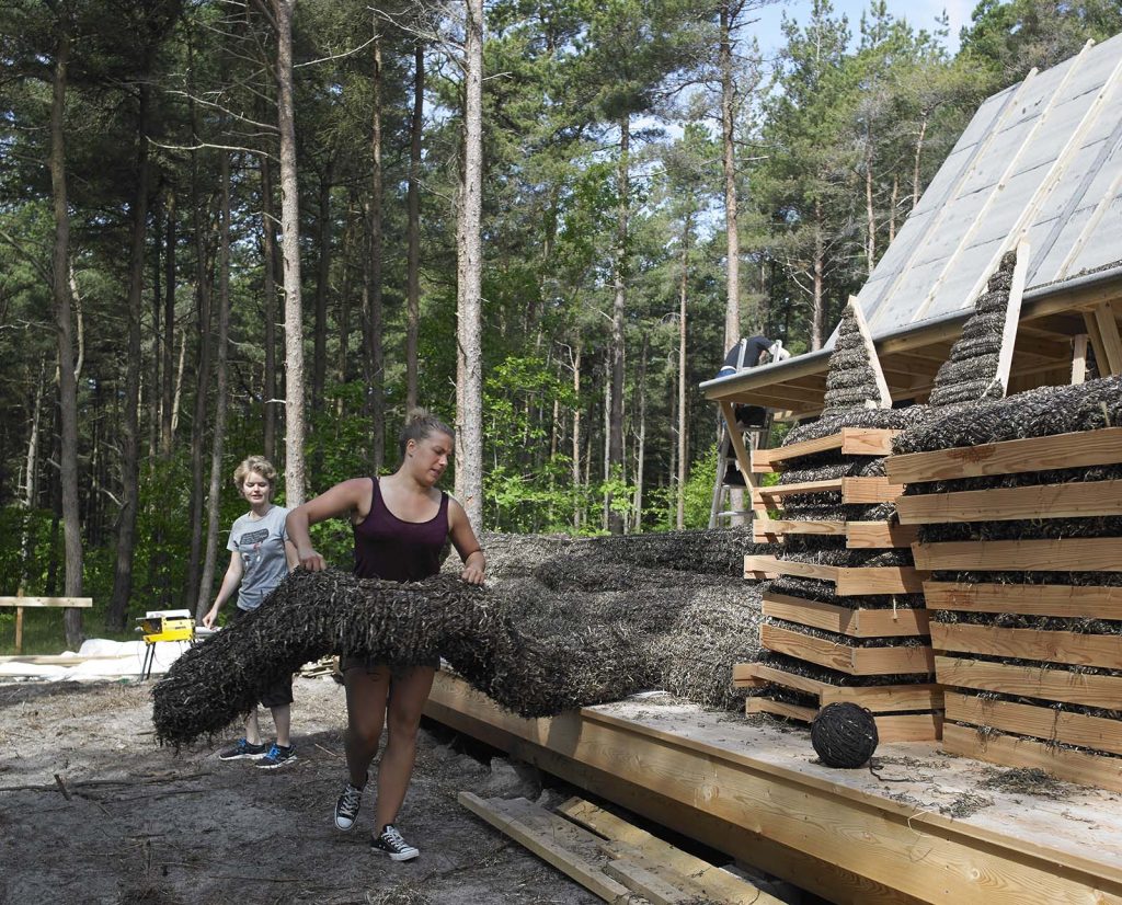 Thatch is back: a traditional material could inform new sustainable ...