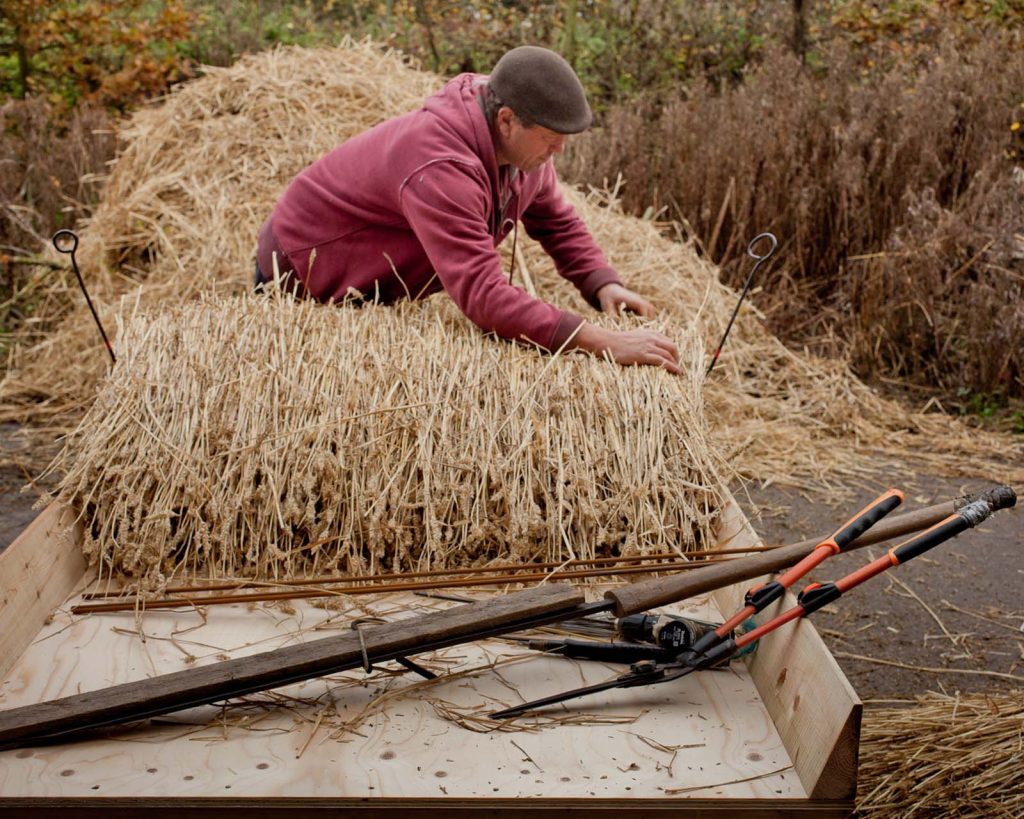 Thatch is back: a traditional material could inform new sustainable ...