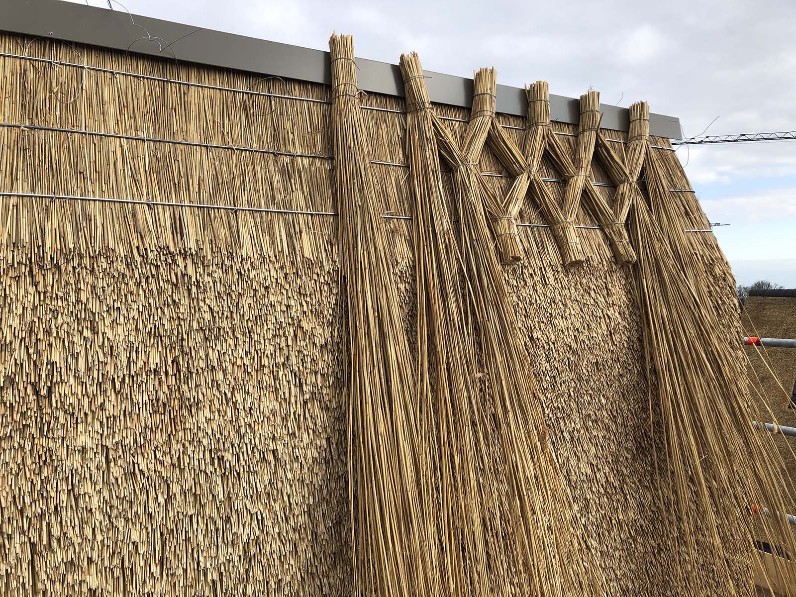 Thatch is back: a traditional material could inform new sustainable ...