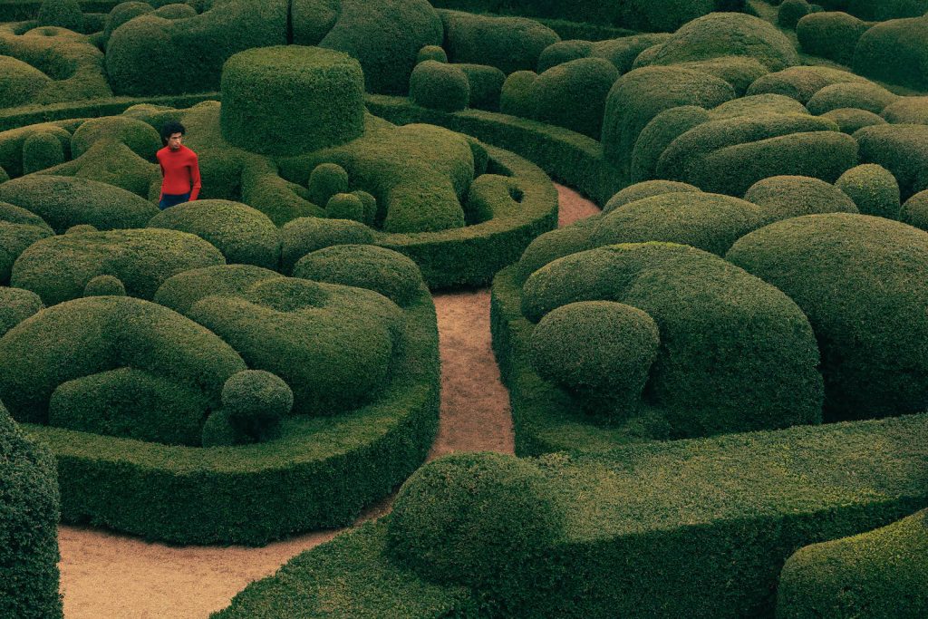 Living with plants: Garden Futures at Vitra Design Museum ...