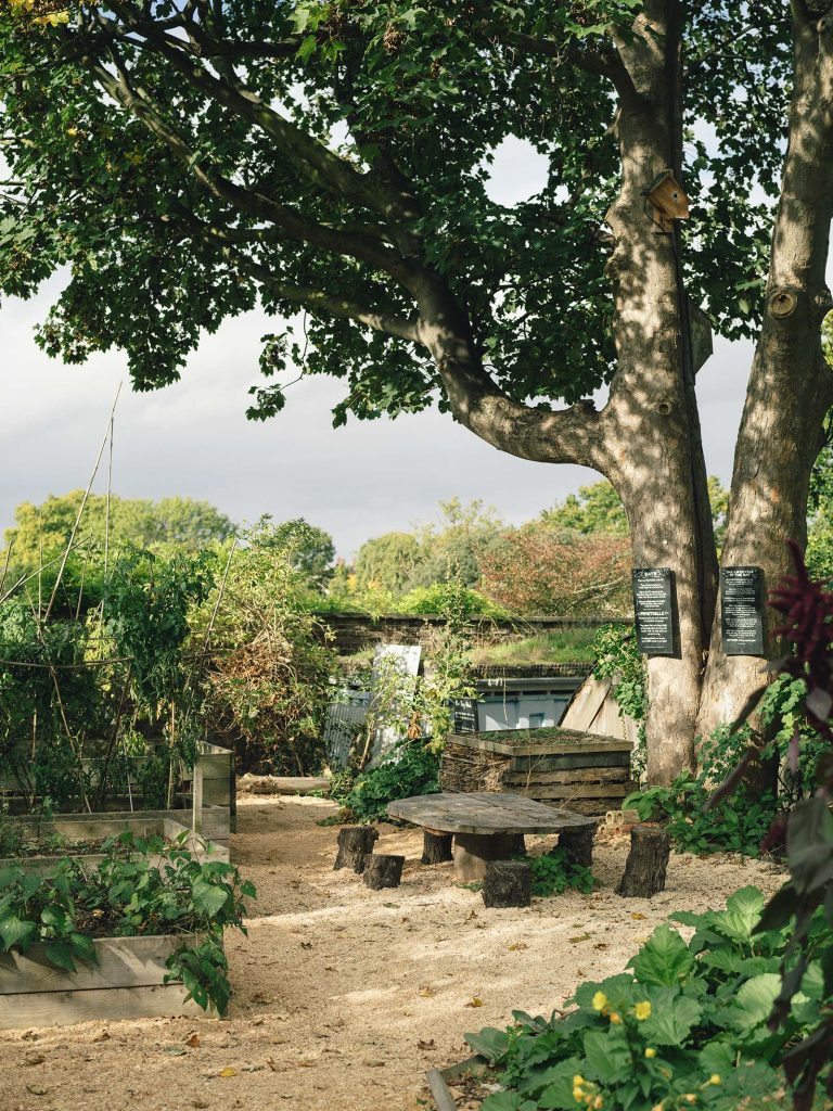 Growing needs: Brockwell Park Community Greenhouses in London, UK by ...