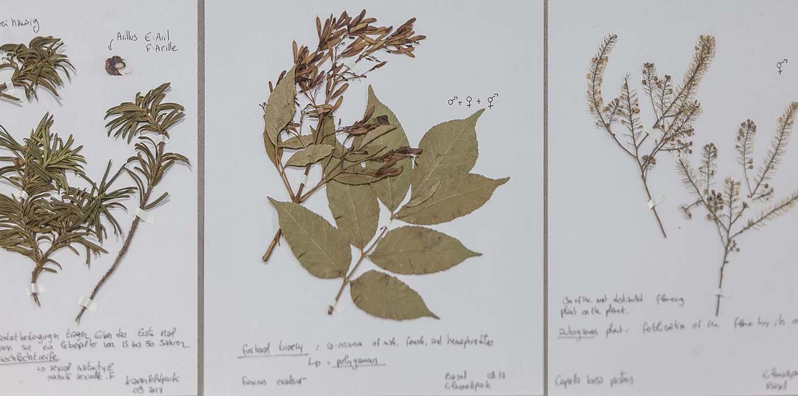 Queer nature: lessons for the public realm - The Architectural Review