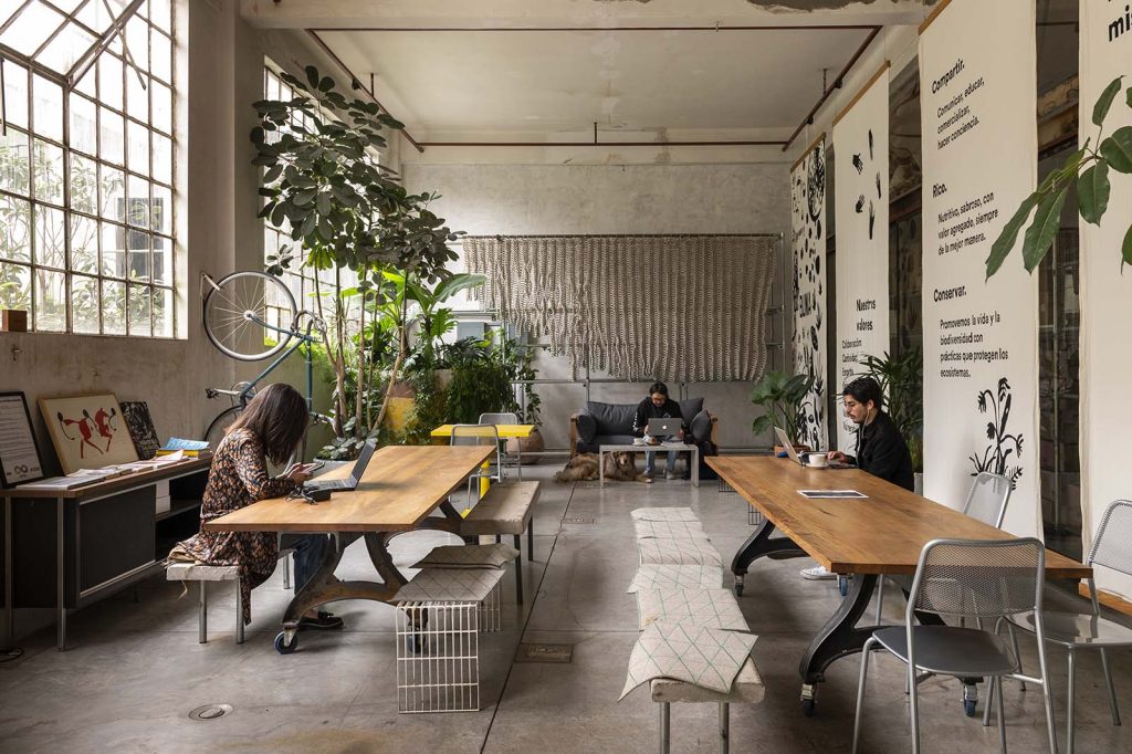 Laguna México in Mexico City by Productora - Architectural Review