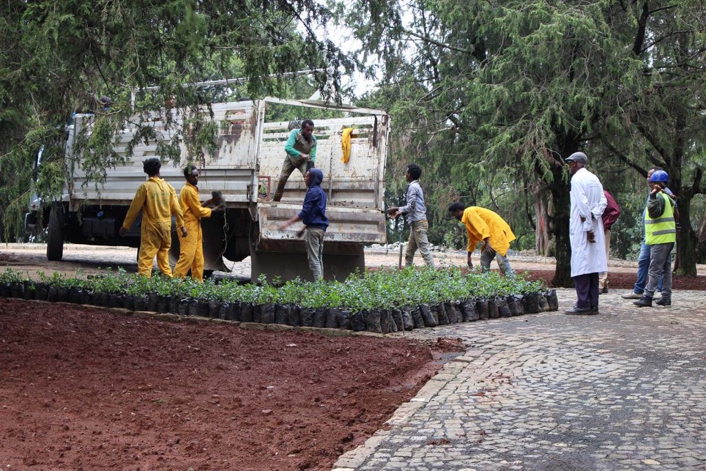 Lay of the landscape: The Meles Zenawi Memorial Park in Addis Ababa ...