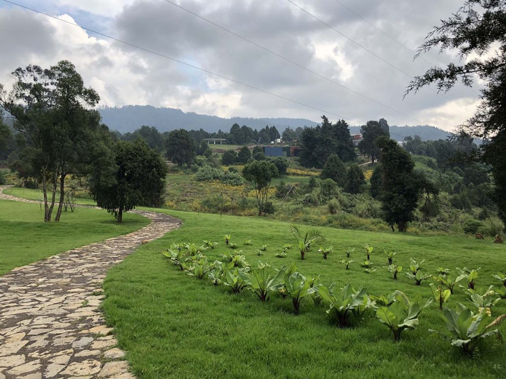 Lay of the landscape: The Meles Zenawi Memorial Park in Addis Ababa, Ethiopia by Studio Other ...