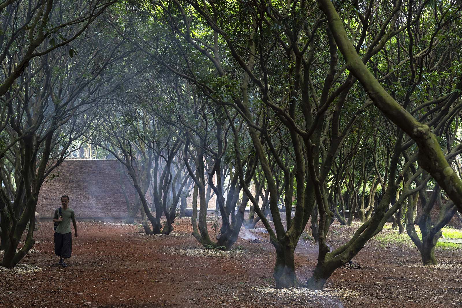 Portfolio: Nguyễn Hà, ARB Architects - The Architectural Review