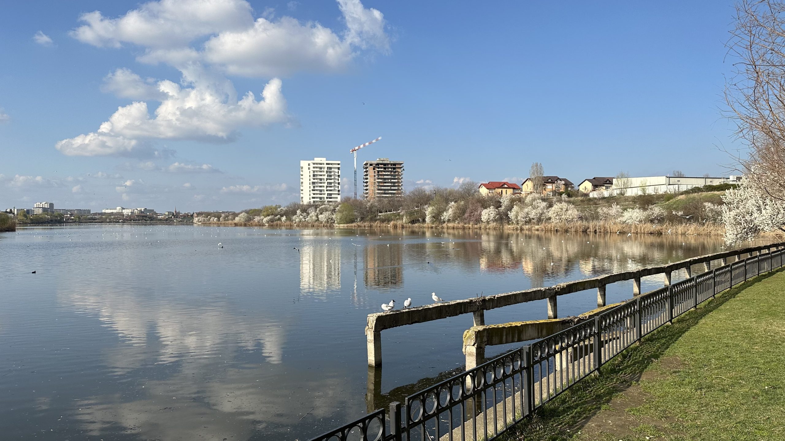 Competition insights: Sorin Manea on Bucharest’s Colentina Lakes ...