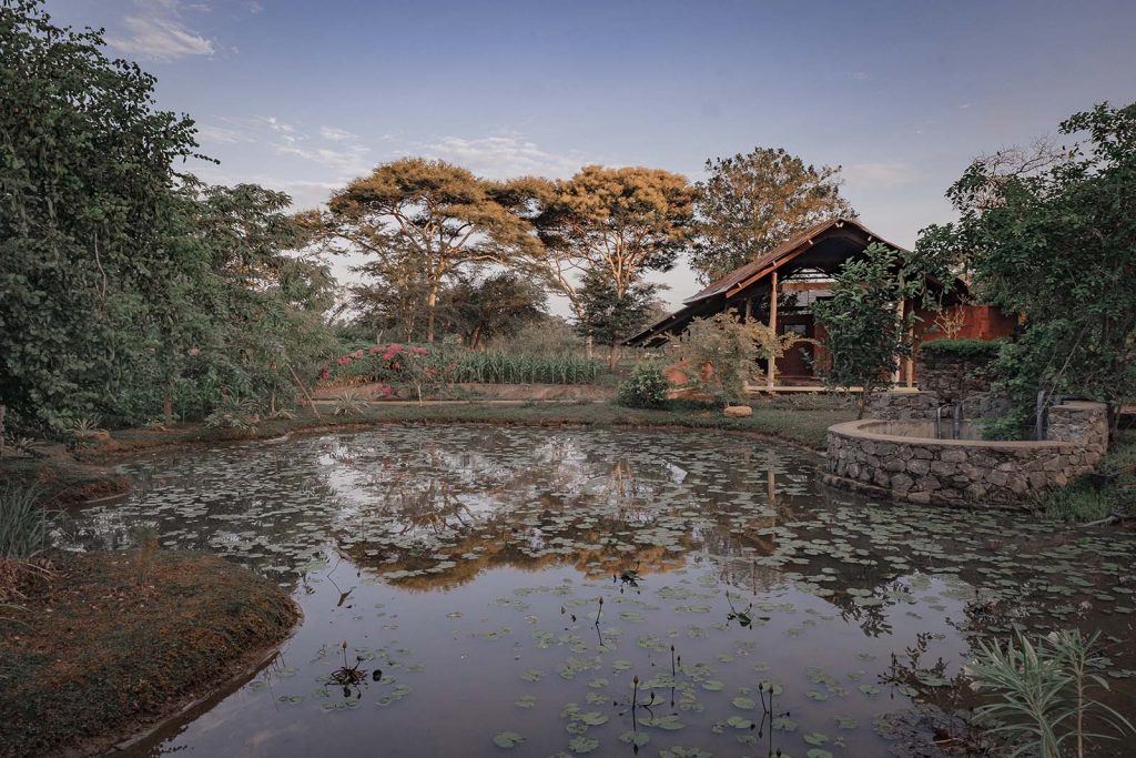 Working the ground: Farmer Field School in Thirappane, Sri Lanka by ...