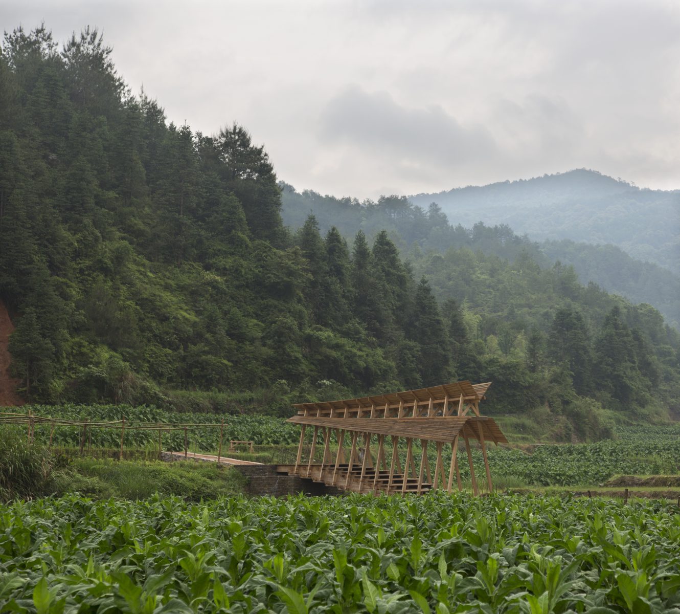 AR Emerging awards 2024 shortlist revealed - The Architectural Review