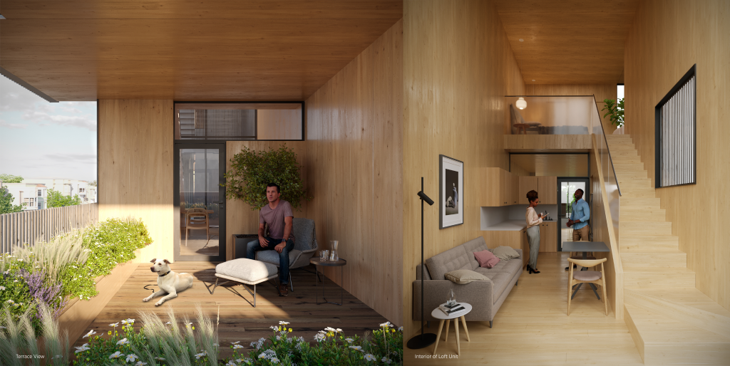 Competition results: Winners of San Francisco duplexes contest revealed