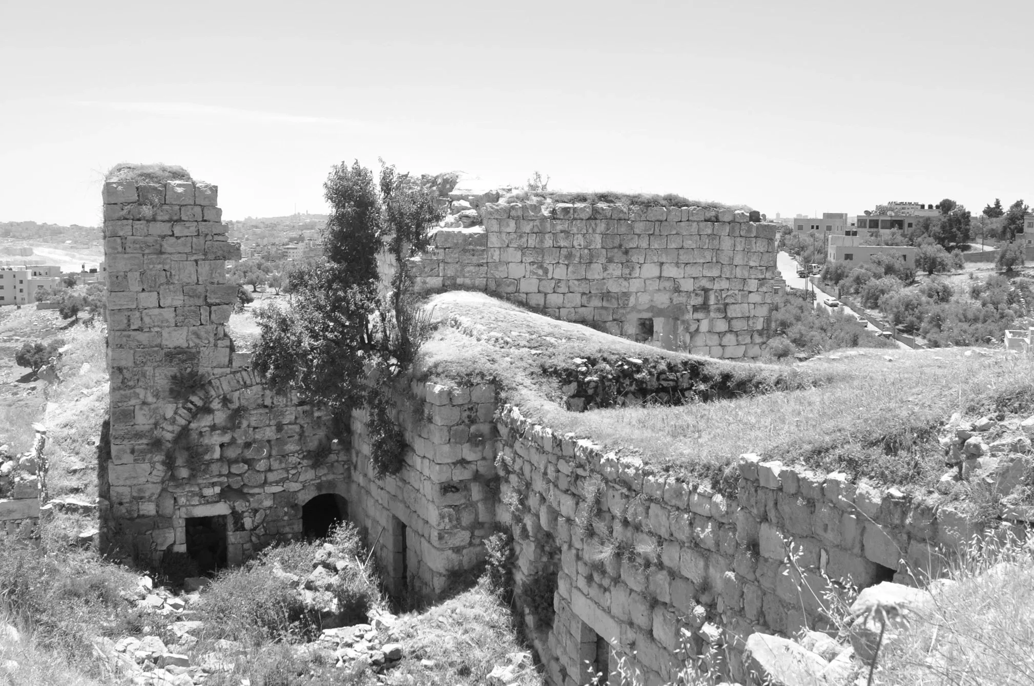 Reputations: Suad Amiry (1951–), Palestinian author and founder of Riwaq