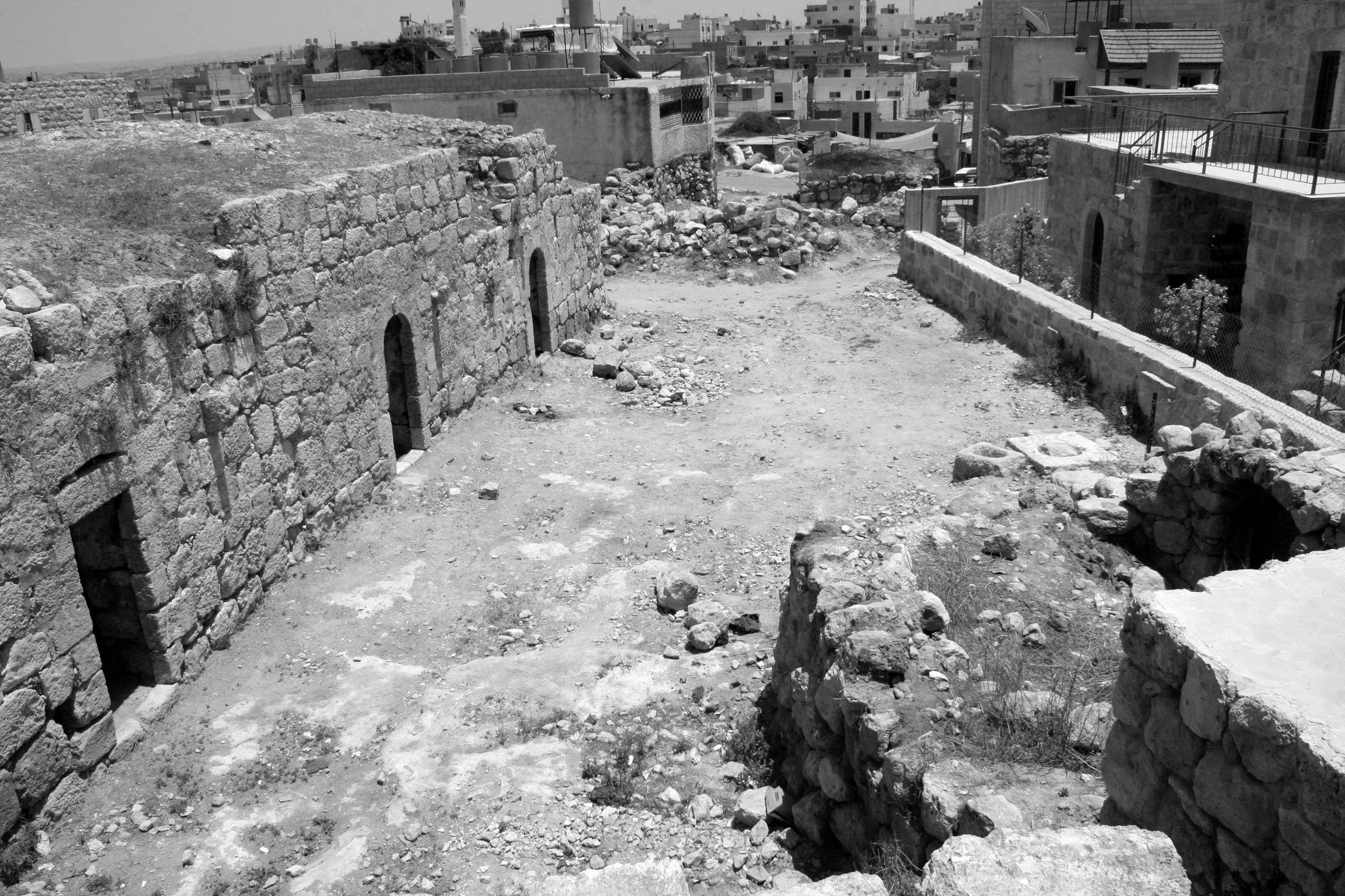 Reputations: Suad Amiry (1951–), Palestinian author and founder of Riwaq