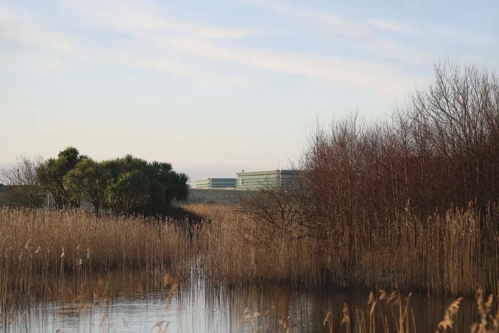Out of the sewer: Wastewater treatment plan by Clancy Moore Architects