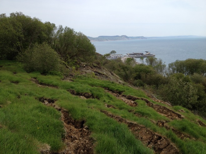 Landslide-proof house unveiled in Lyme Regis | Ground Engineering