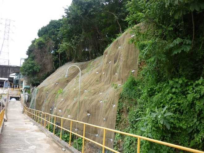 Technical Paper: Slope stabilisation and erosion protection in a single ...