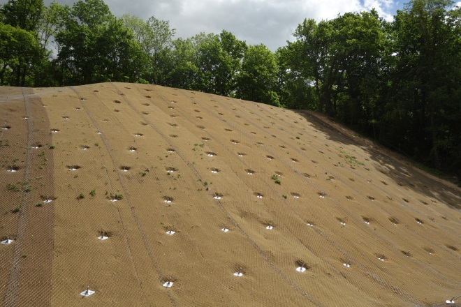 Technical Paper: Slope stabilisation and erosion protection in a single ...
