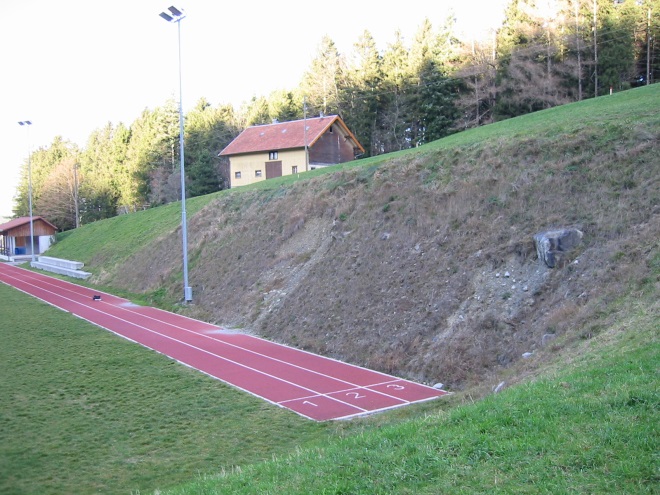 Technical Paper: Slope stabilisation and erosion protection in a single ...